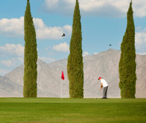 Stay | Cocopah Casino & Resort